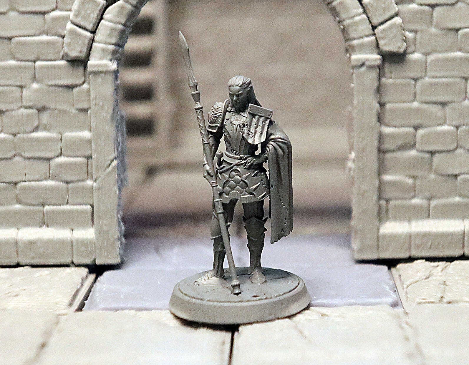 Human, Female, Paladin, Knight, Cleric in Plate Armor, Long Cape ...