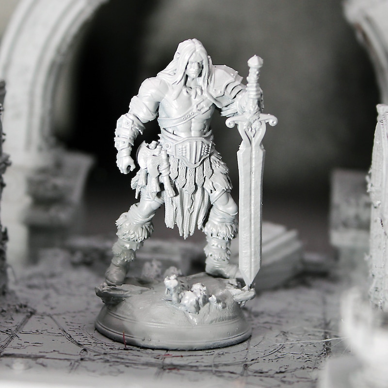 Conan and the Barbarian - Etsy