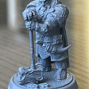 Dwarf, Male, Fighter/paladin With Heavy Chain Mail, War Hammer and ...