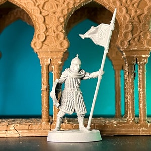 Flag Bearer, Bannerman, Fighter, Cloak, Spiked Plate, Chain Mail, Spear ...
