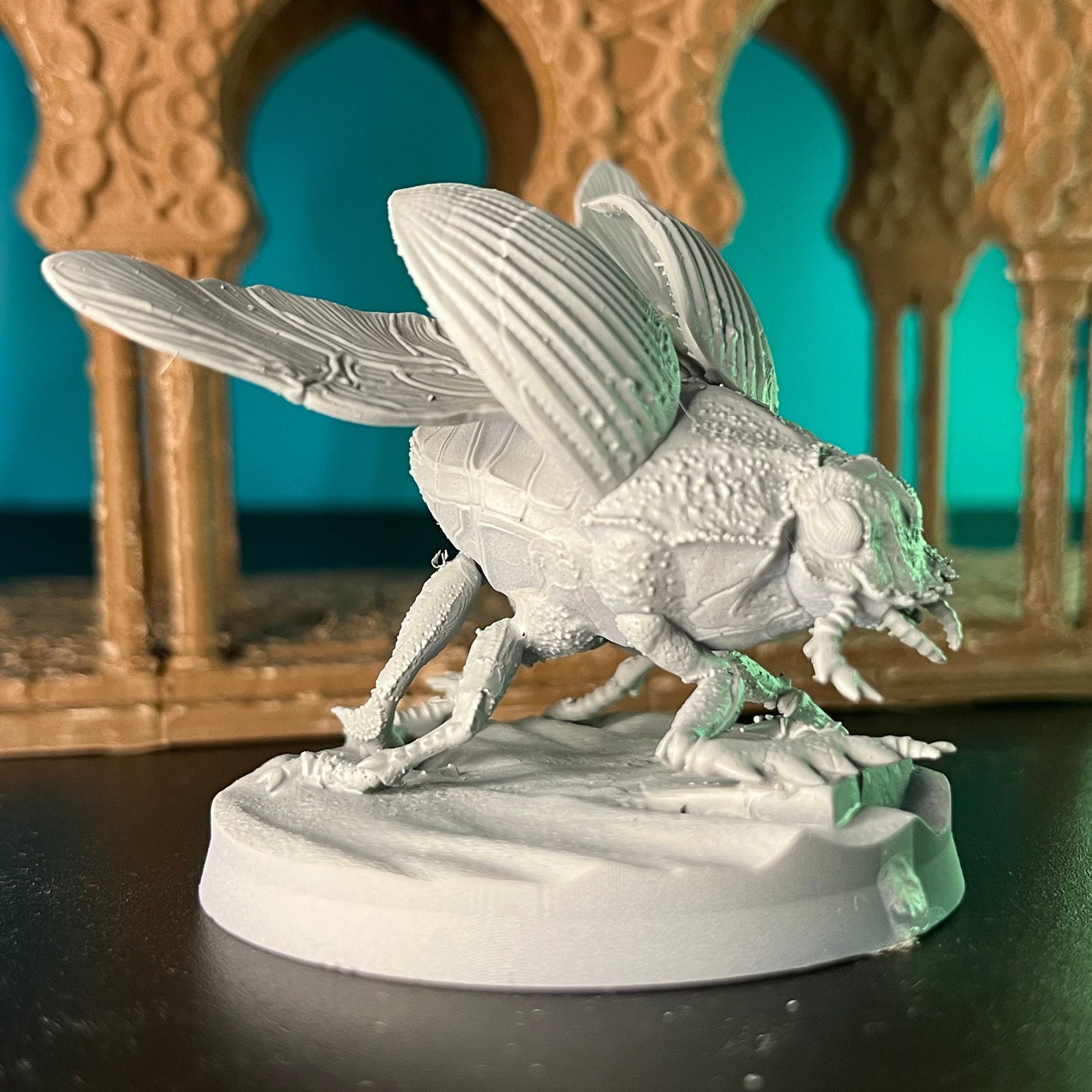 Giant Sand Scarab, Beetle, Large, Wings, Crawling, Large Figure, Open ...