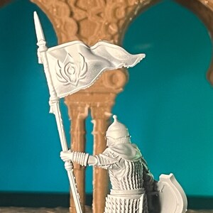 Flag Bearer, Bannerman, Fighter, Cloak, Spiked Plate, Chain Mail, Spear ...