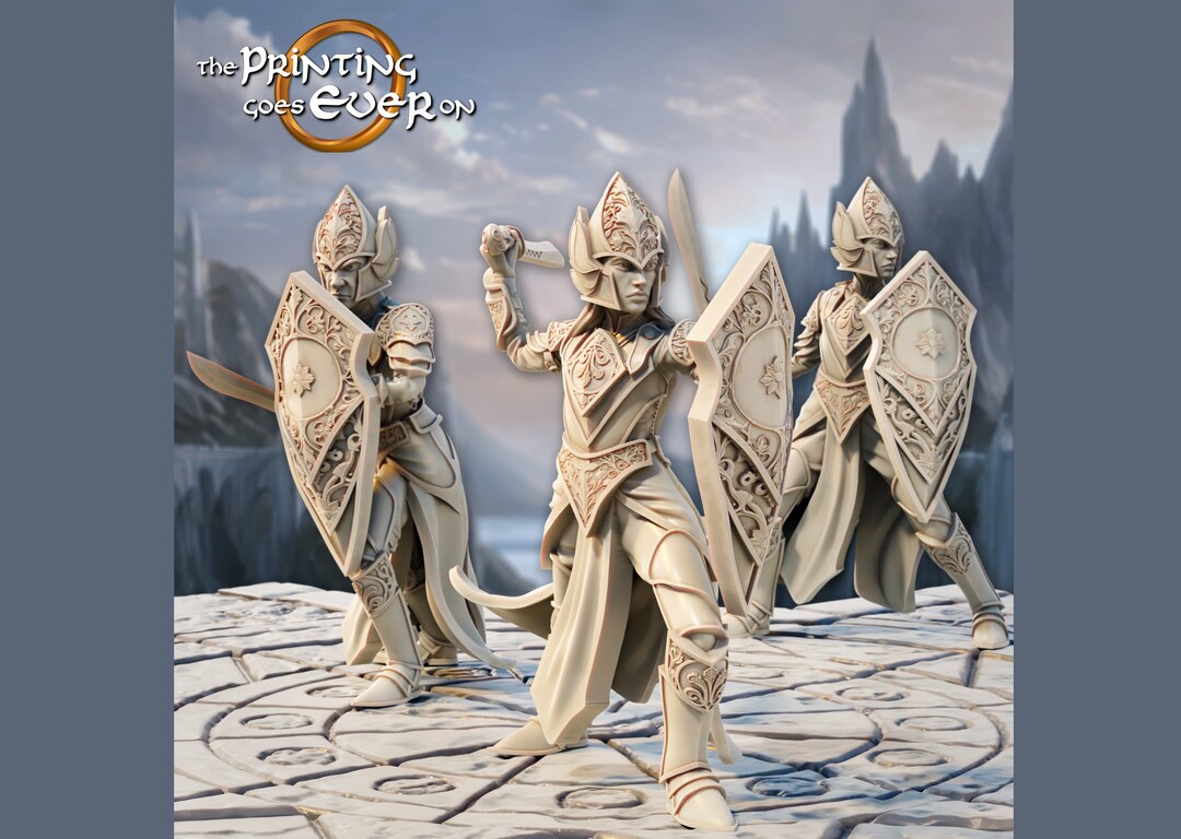 Male, Elf, Swordman, Fighter, Warrior, Tower Shield, Breast Plate, Long ...