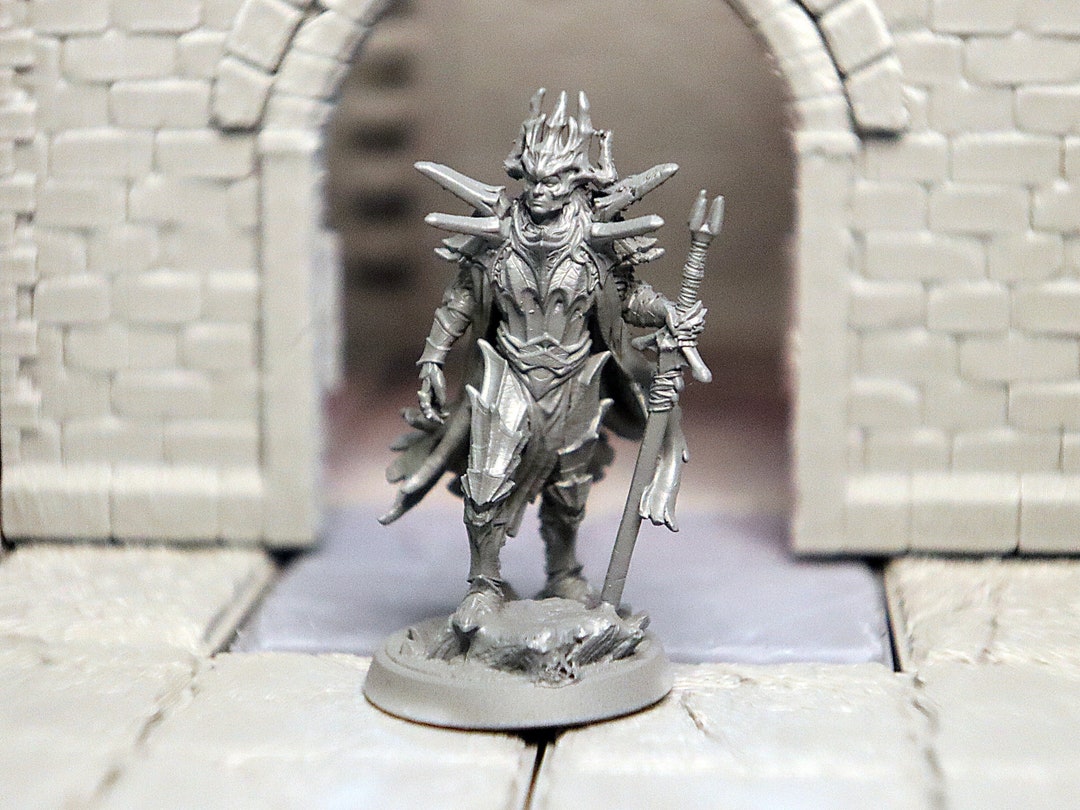 Human, Male, Evil, Cleric, Paladin, Necromancer, Plate Mail and Robes ...