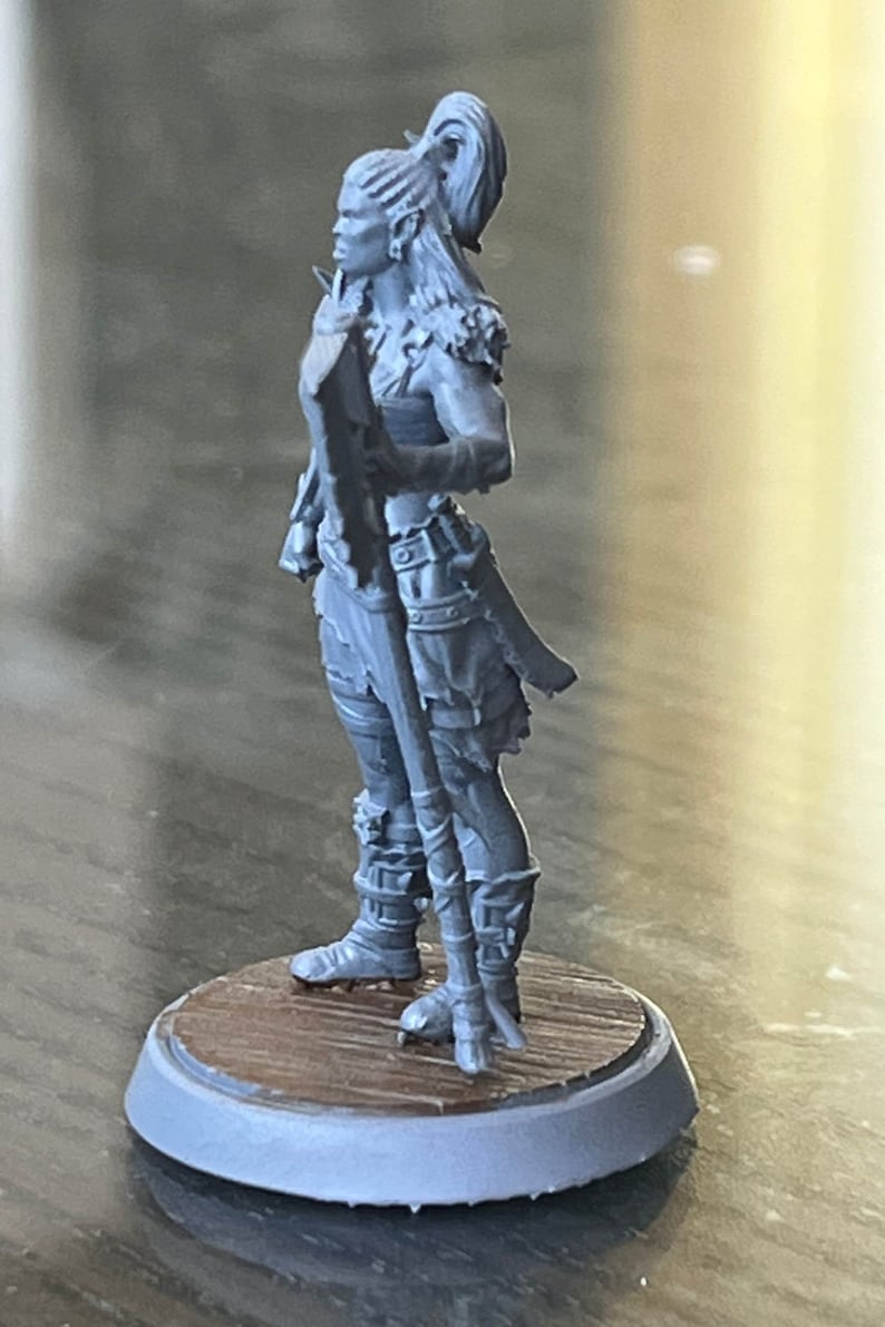 Half-orc, Female, Fighter/barbarian With Fur and Leather Armor, 2 ...