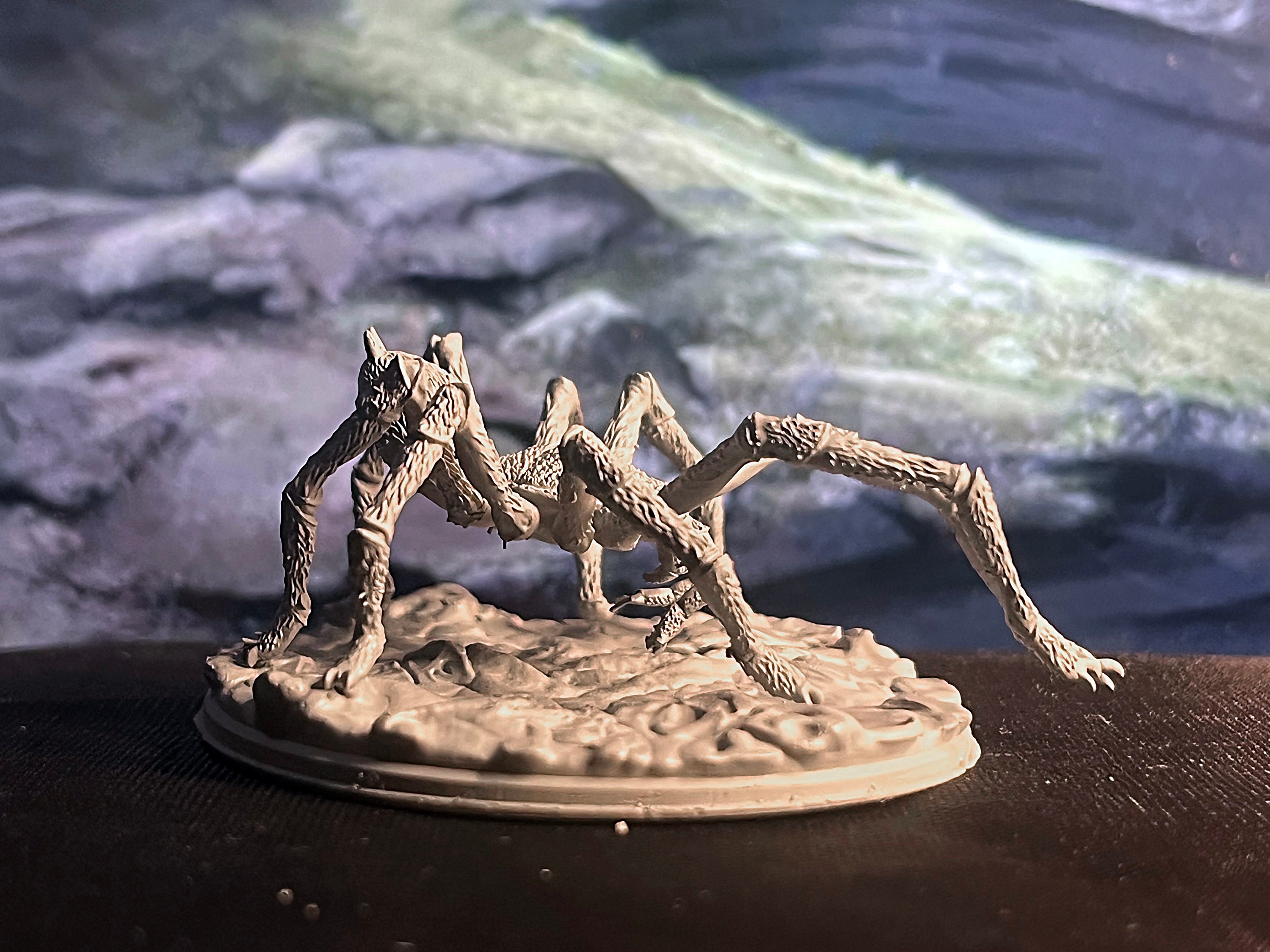 Large Spider Wolf Spider Trap Door Spider 25mm/32mm - Etsy