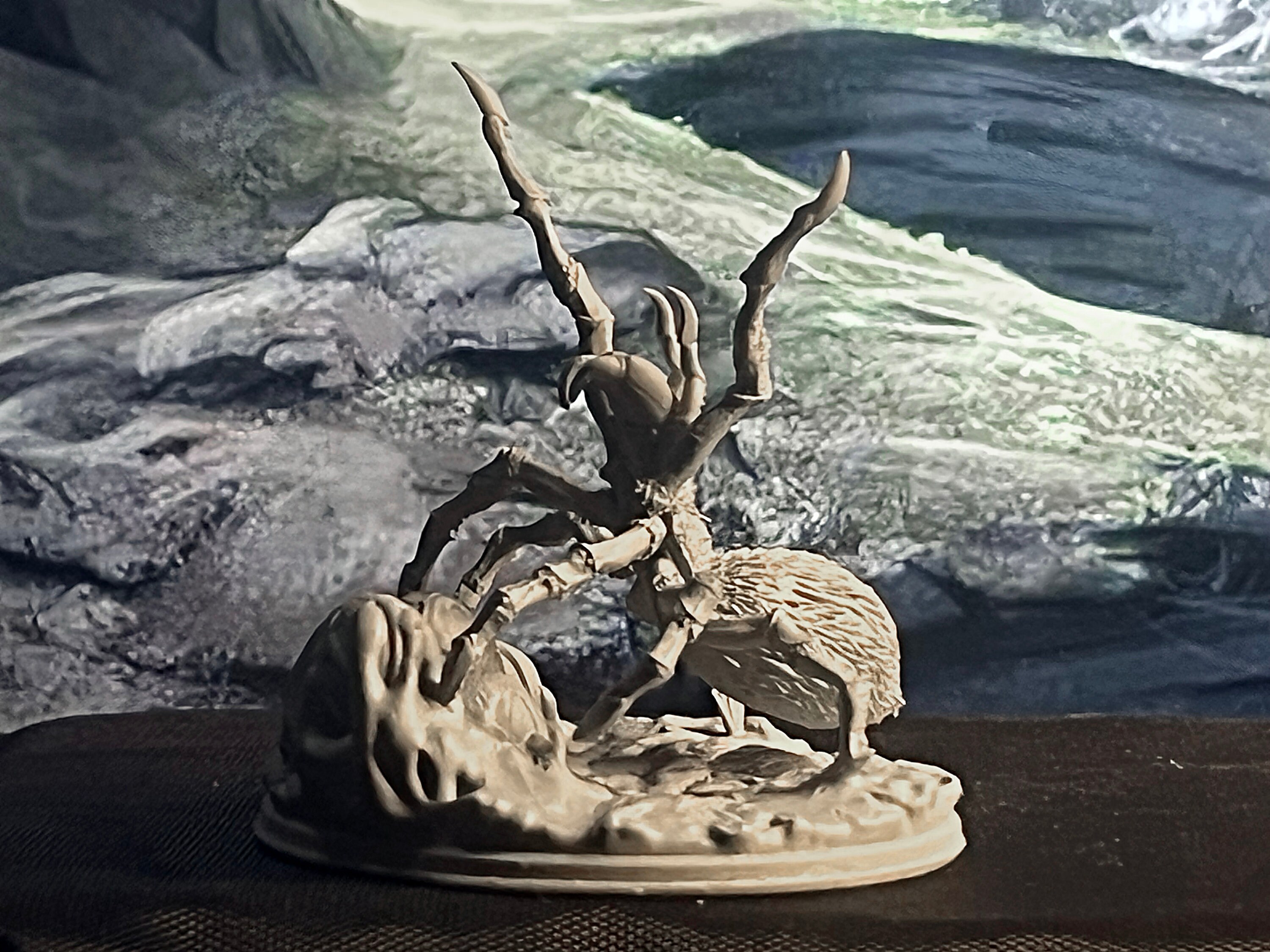 Large Spider Wolf Spider Hunting Spider Attacking - Etsy