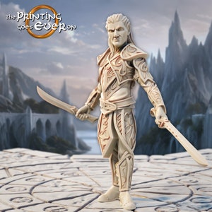 Male, Elf, Dual Wield, Long Sword, Short Sword, Fighter, Warrior ...