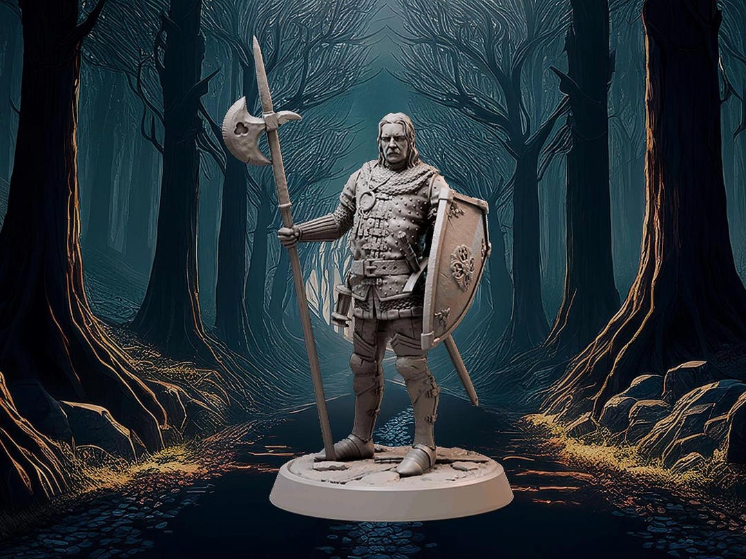 Male, Human, Fighter, Soldier, Guard, Halberd, Kite Shield, Lantern ...