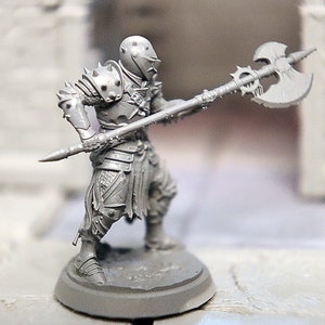 Human, Male, Fighter, Paladin, Full Plate Mail, Casting Spell, Wielding ...