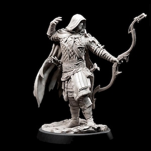 Elf, Male, Ranger, Fighter, Rogue, Longbow, Long Sword, Arrows, Hood ...