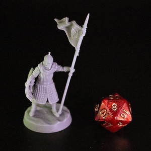 Flag Bearer, Bannerman, Fighter, Cloak, Spiked Plate, Chain Mail, Spear ...