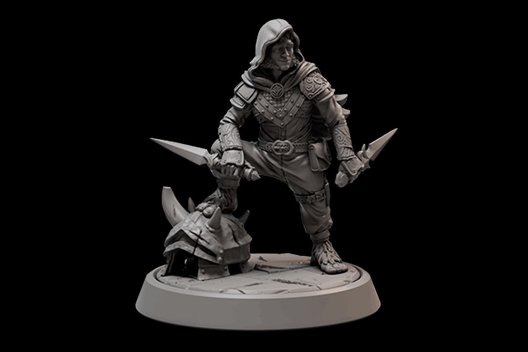 Halfling, Gnome, Male, Rogue, Assassin, Leather, Banded, Daggers, Hood ...