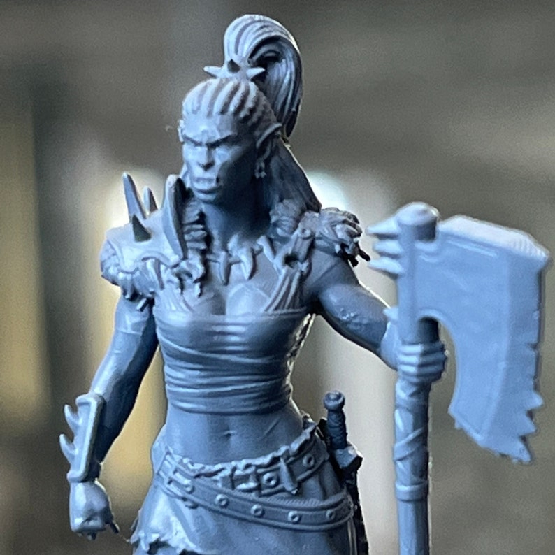 Half-orc, Female, Fighter/barbarian With Fur and Leather Armor, 2 ...