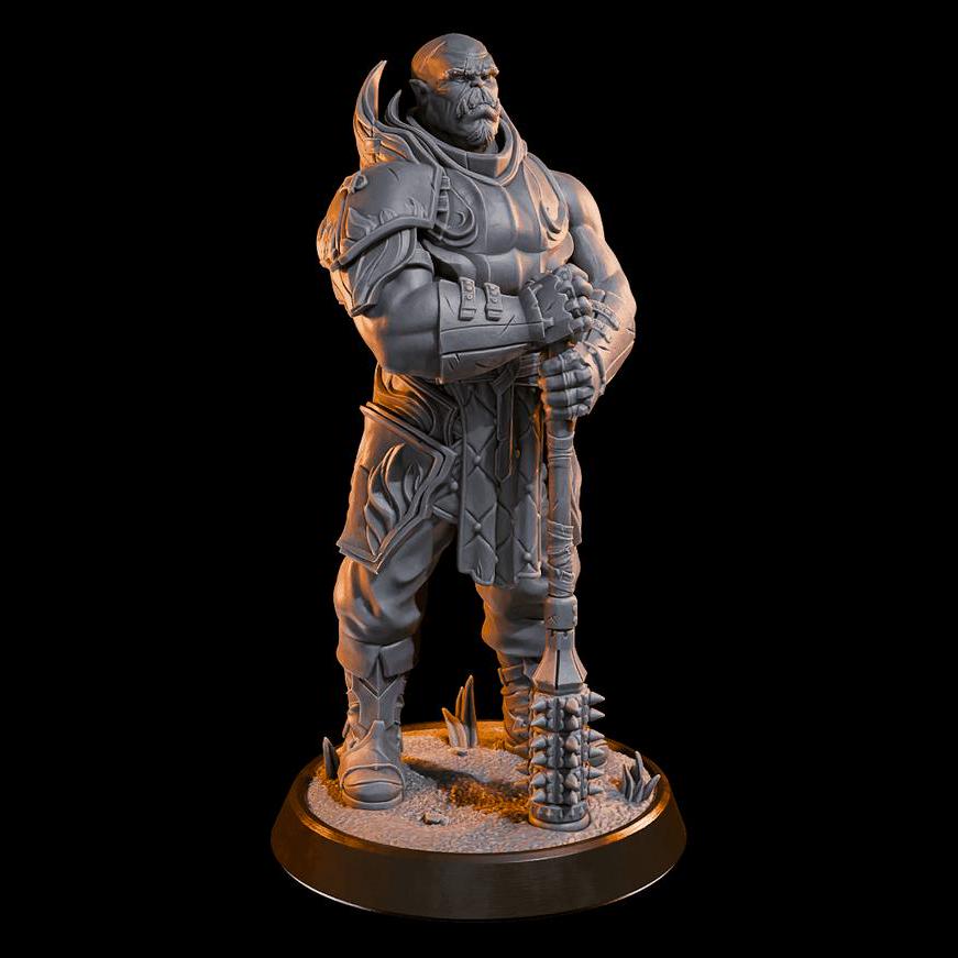 Half-orc, Orc, Male, Paladin, Warrior, Fighter, Cleric, Mace, Plate ...