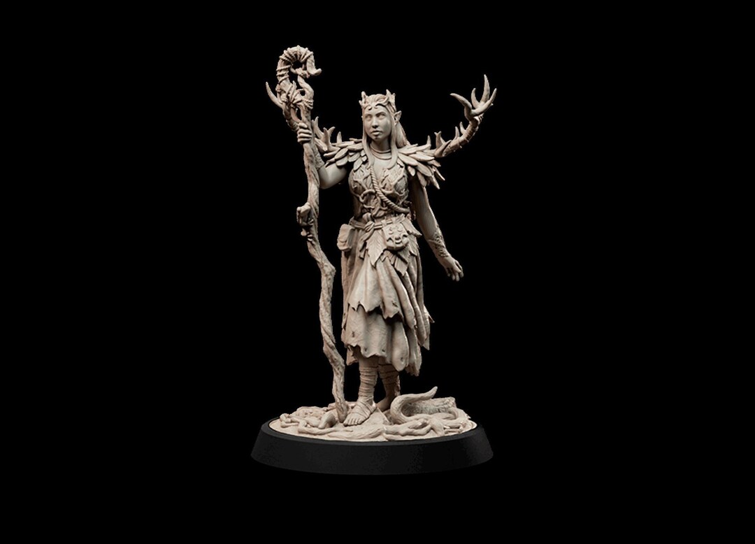 Elf, Female, Druid in Leather and Over-clothes, Earth Magic Staff in ...