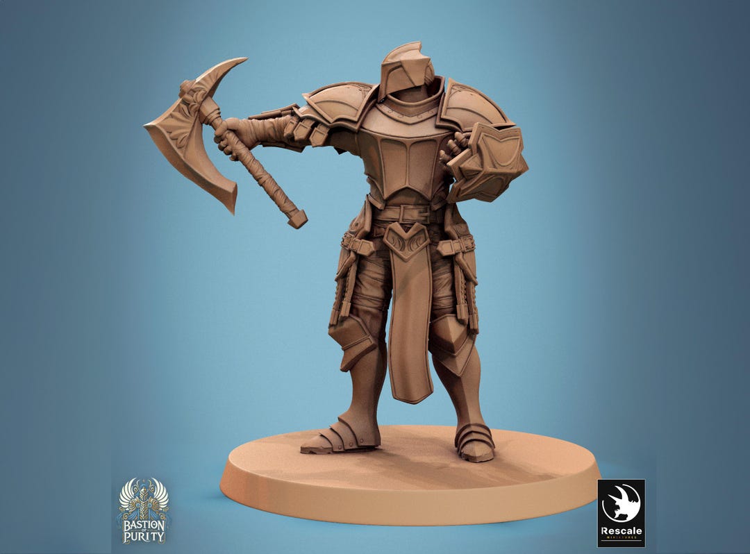 Bastion Soldier, Bastion of Purity, Knight, Paladin, Hand Axe, Battle ...