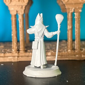 Male, Cleric, Priest, Mage, Robes, Peaked Hood, Spell Book, Cobra Staff ...