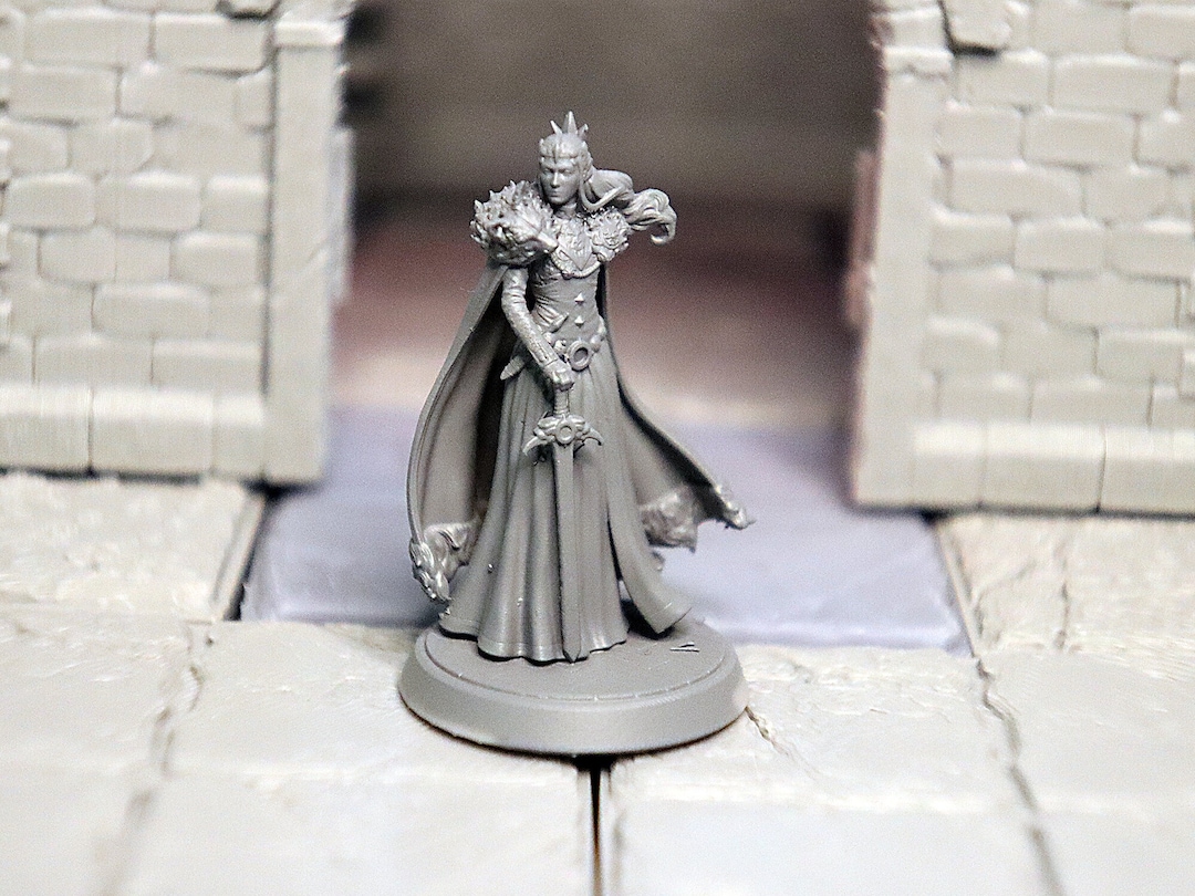 Human, Female, Wizard, Fighter, in Magic Robes, Iron Crown, Queen Robes ...