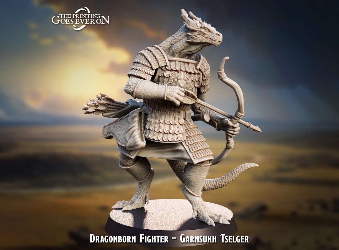 Dragon Born, Dragonborn, Warrior, Fighter, Ranger, Long Bow, Splint ...