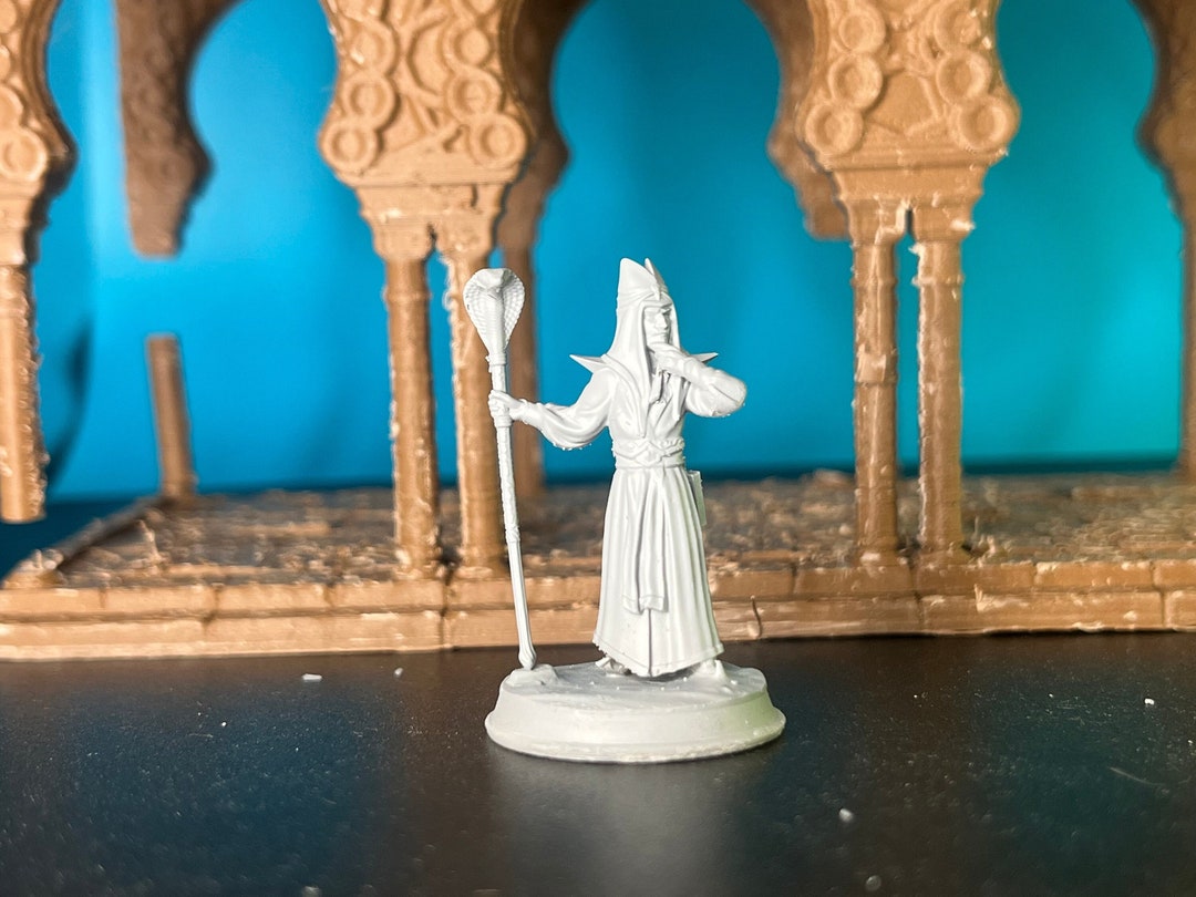 Male, Cleric, Priest, Mage, Robes, Peaked Hood, Spell Book, Cobra Staff ...