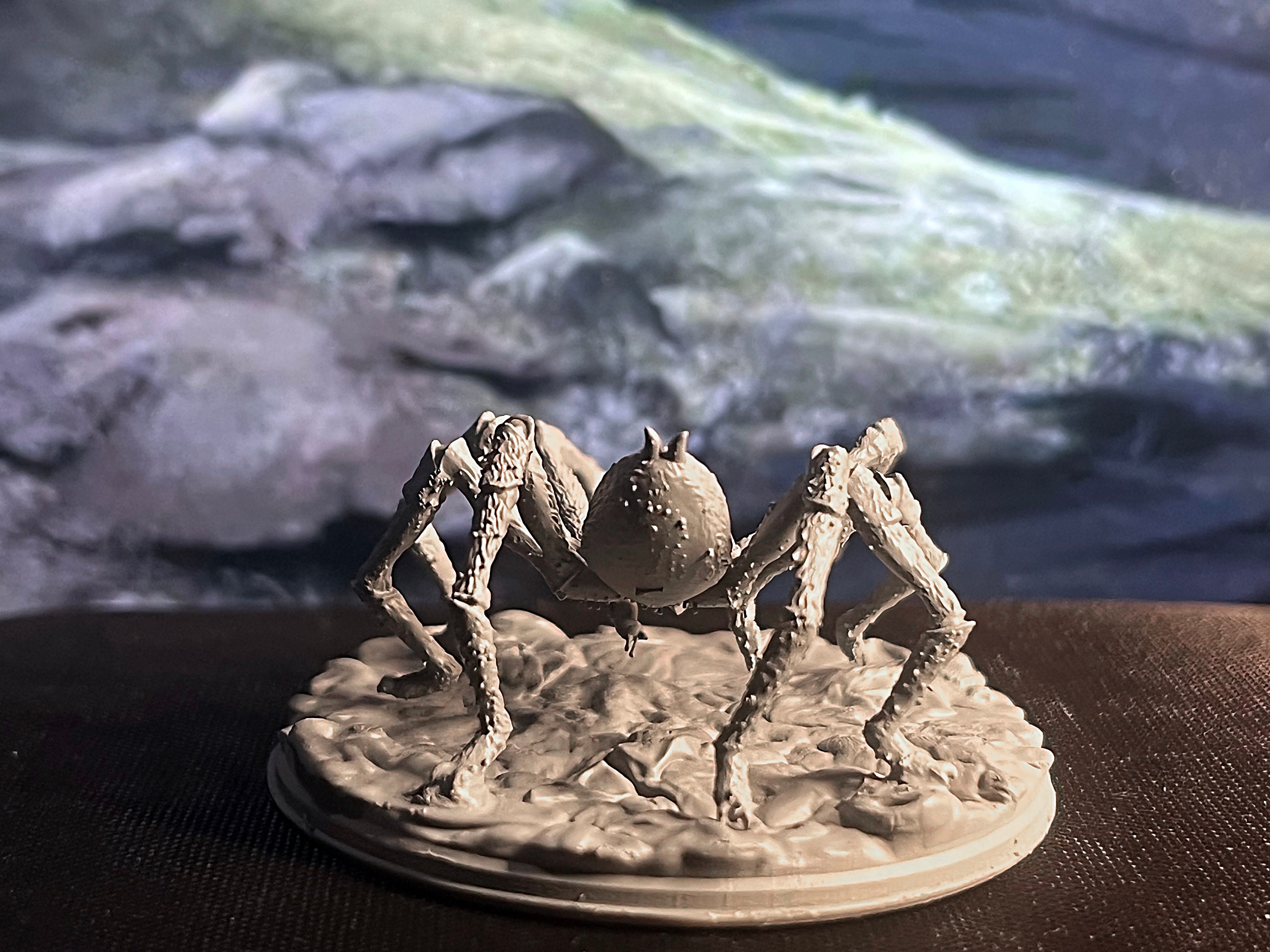 Large Spider Wolf Spider Trap Door Spider 25mm/32mm - Etsy