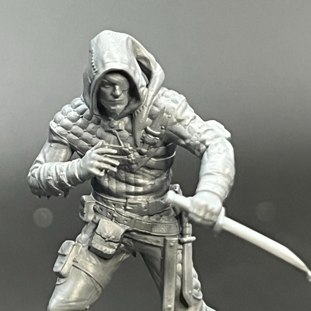 Human, Male, Rogue, Assassin, Padded Armor, Dagger in Hand, Hooded Cape ...