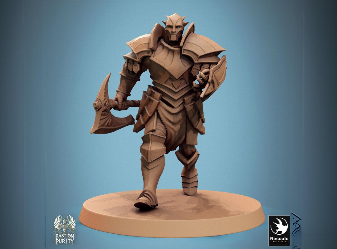 Bastion Warrior, Bastion of Purity, Knight, Paladin, Hand Axe, Battle ...