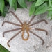 Metal Spider Rebar Spider Sculpture Man's Gift Yard Art Rock Garden ...