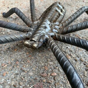 Barnyard Scary Spider - Etsy