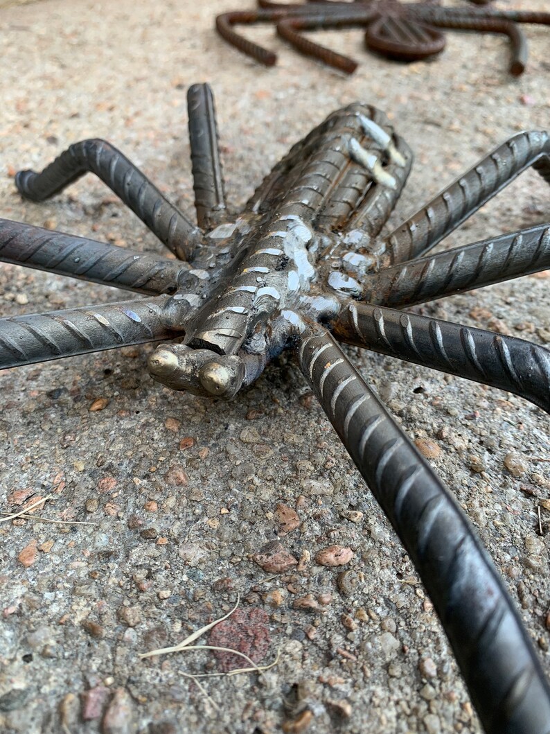 Barnyard Scary Spider - Etsy