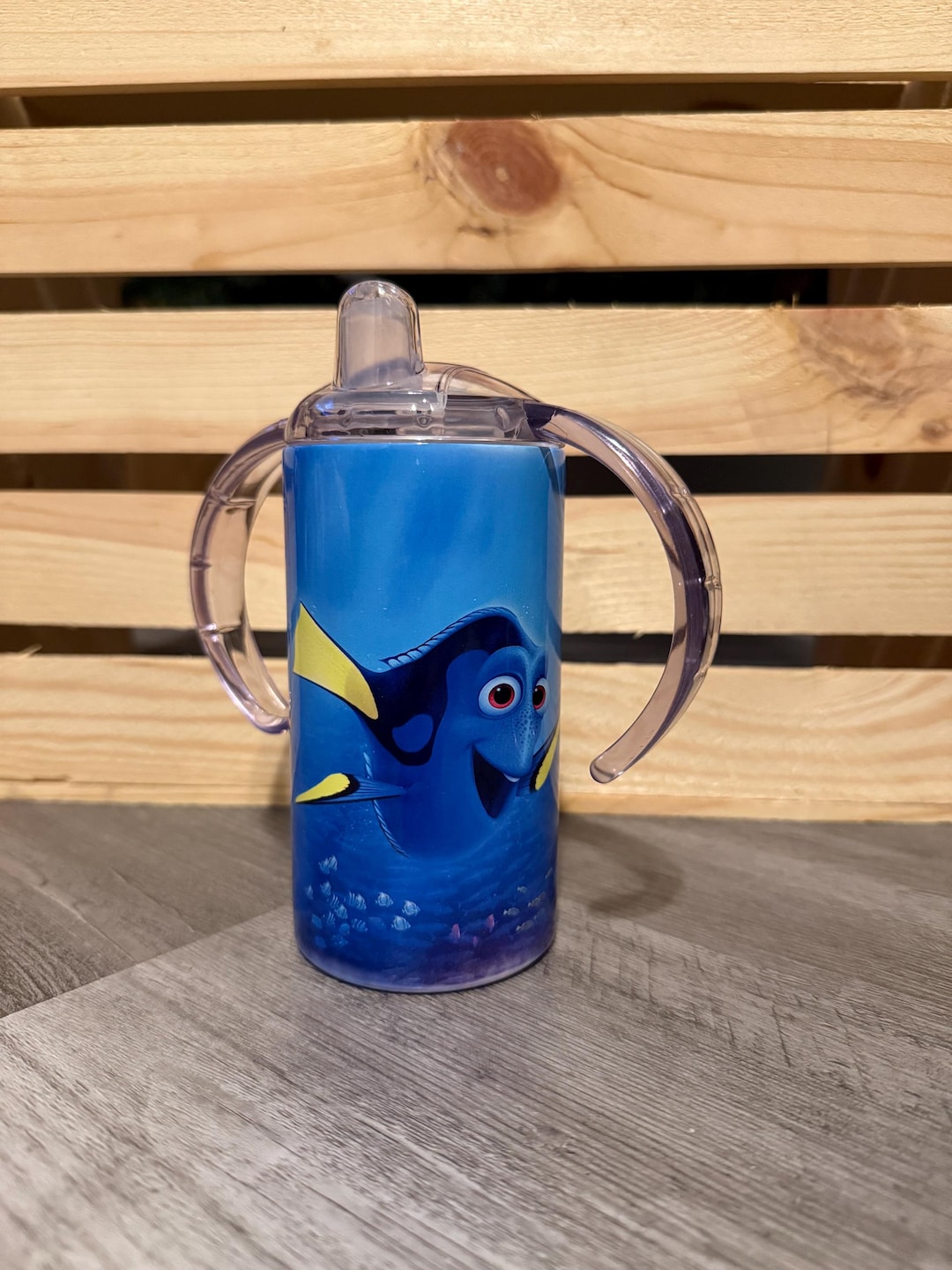 Finding Dory Sippy Cup - Etsy