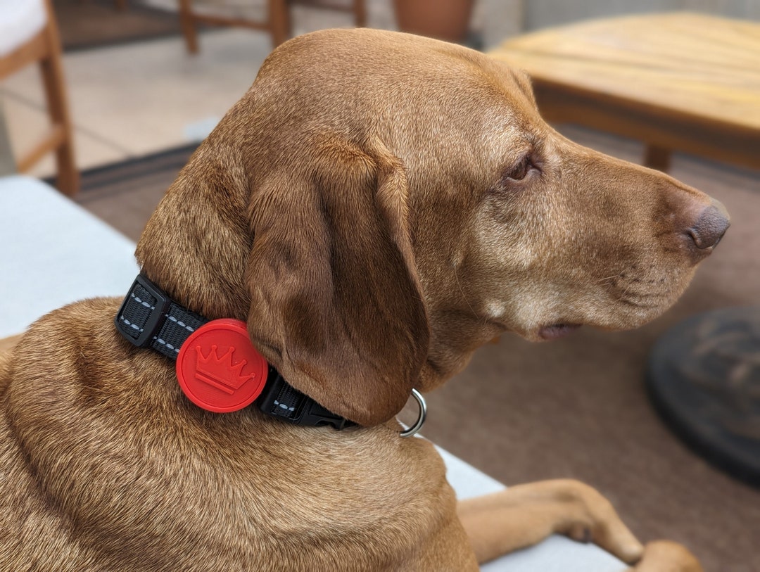 Crown Tile Sticker 2022 Collar Case | Tile Sticker Collar Case With ...