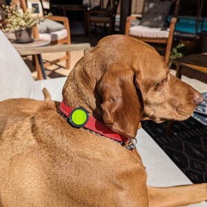 Pack of 3 Reflective Safety Pet Collar Accessories for Dogs and Cats ...