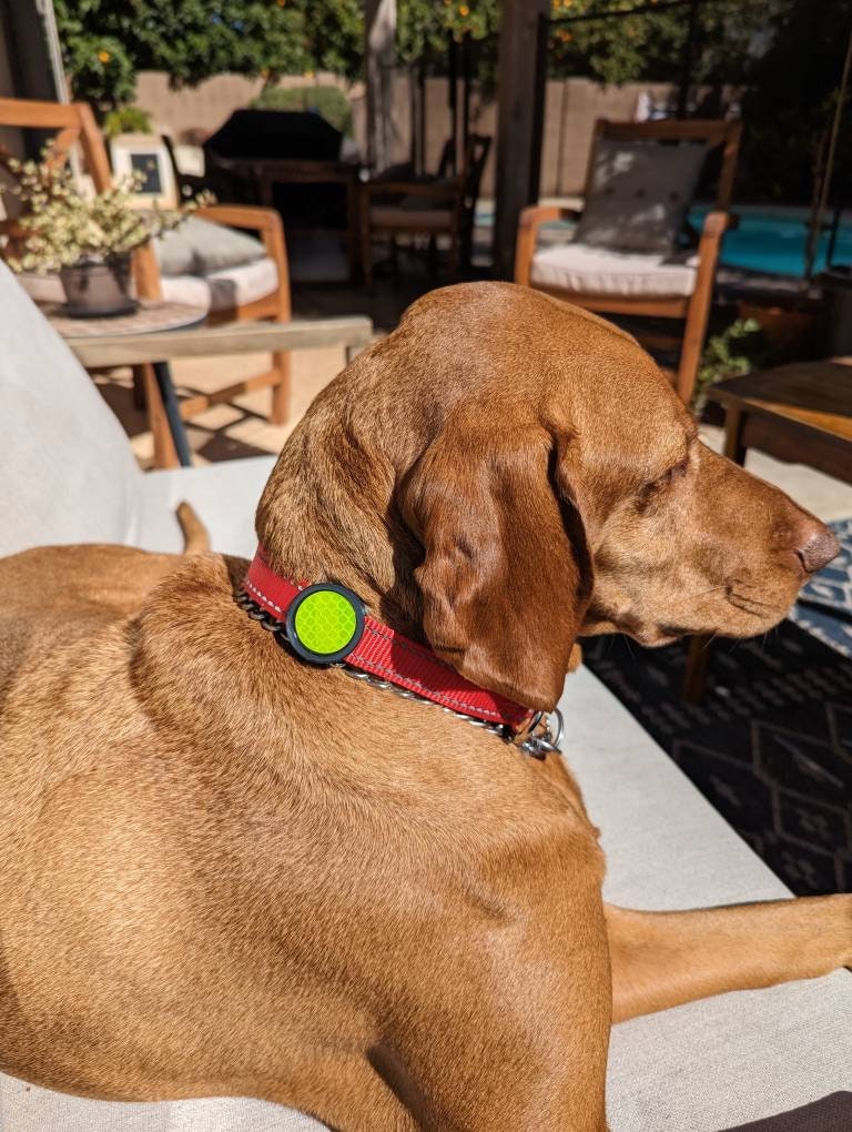 Pack of 3 Reflective Safety Pet Collar Accessories for Dogs and Cats ...