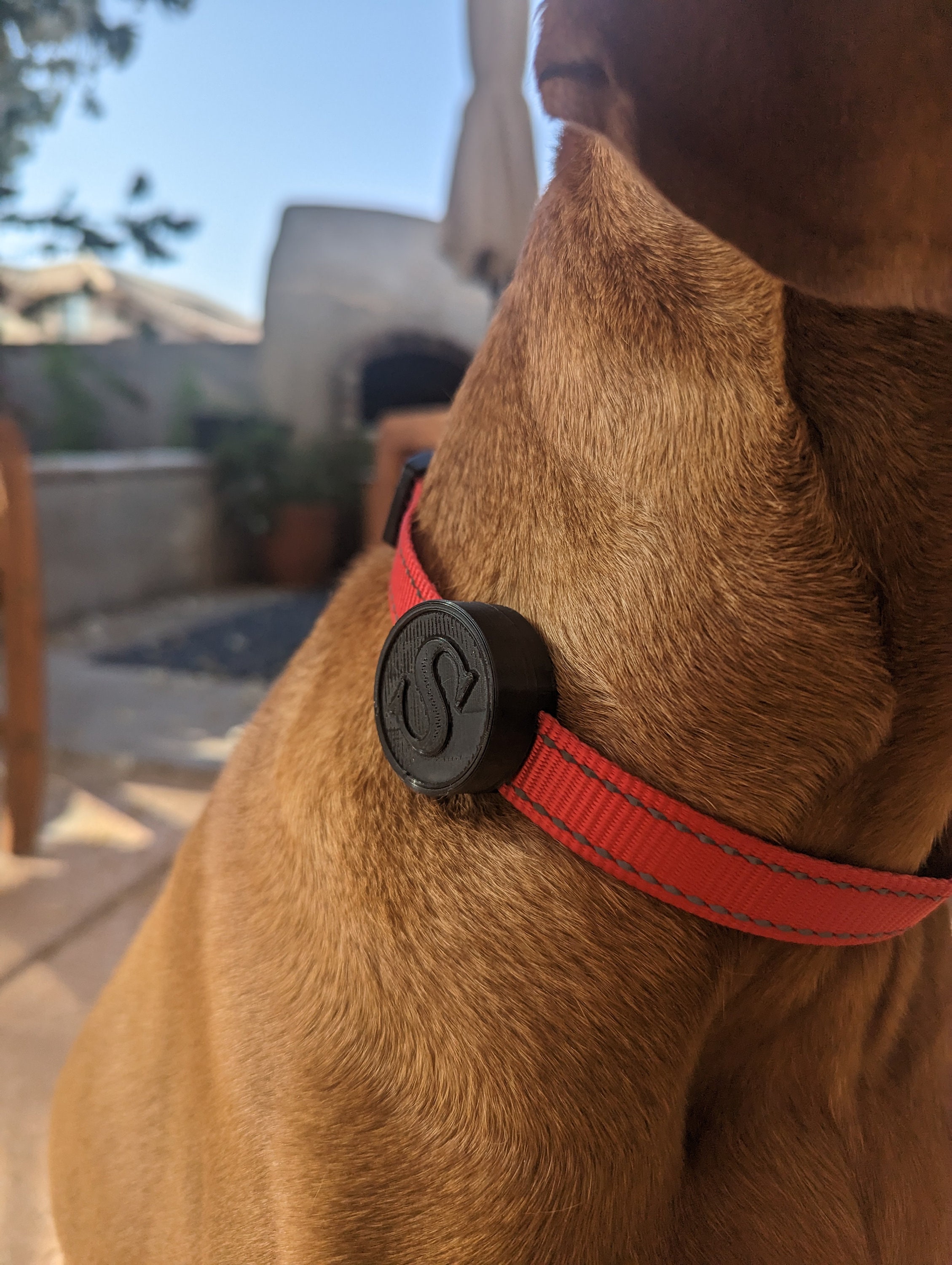 Personalized Tile Sticker Collar Case, Customized Collar Case for Tile ...