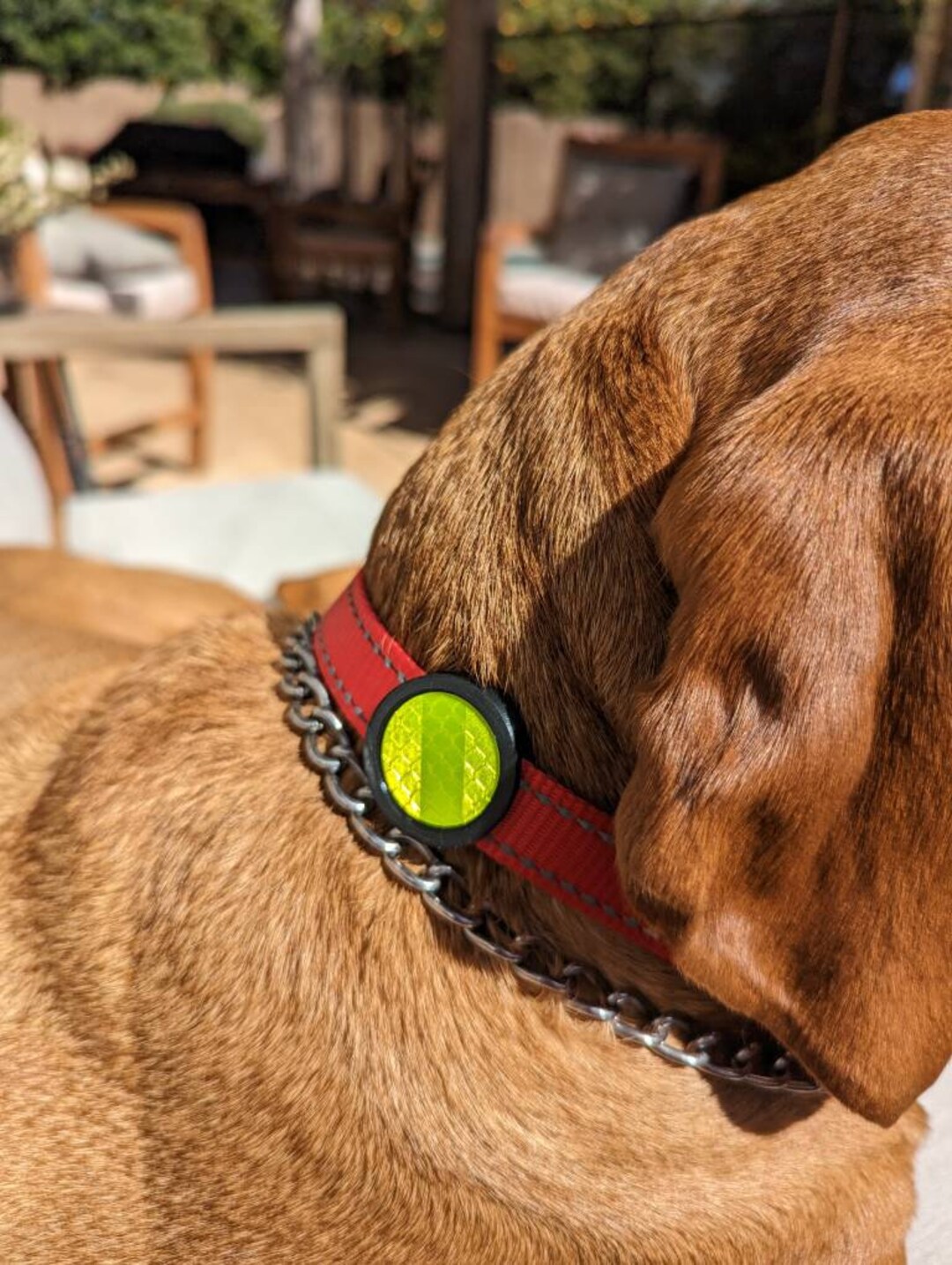 Reflective Safety Collar Accessory for Dogs and Cats, Reflector for ...