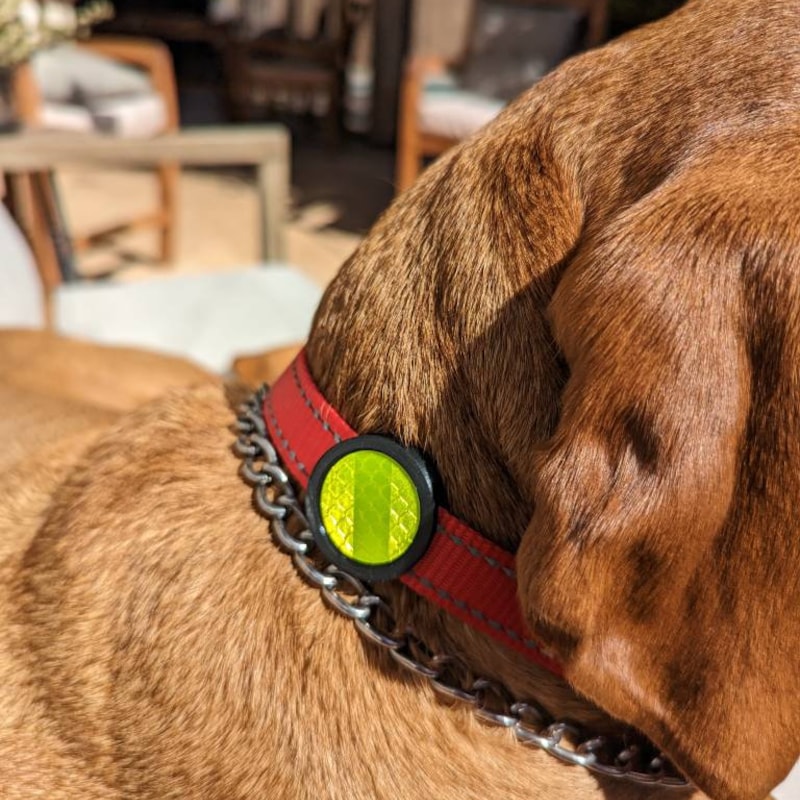 Custom Dog Reflector - Etsy