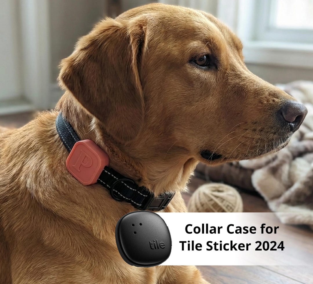 Personalized Tile Sticker 2024 Collar Case, Customized Collar Case for ...