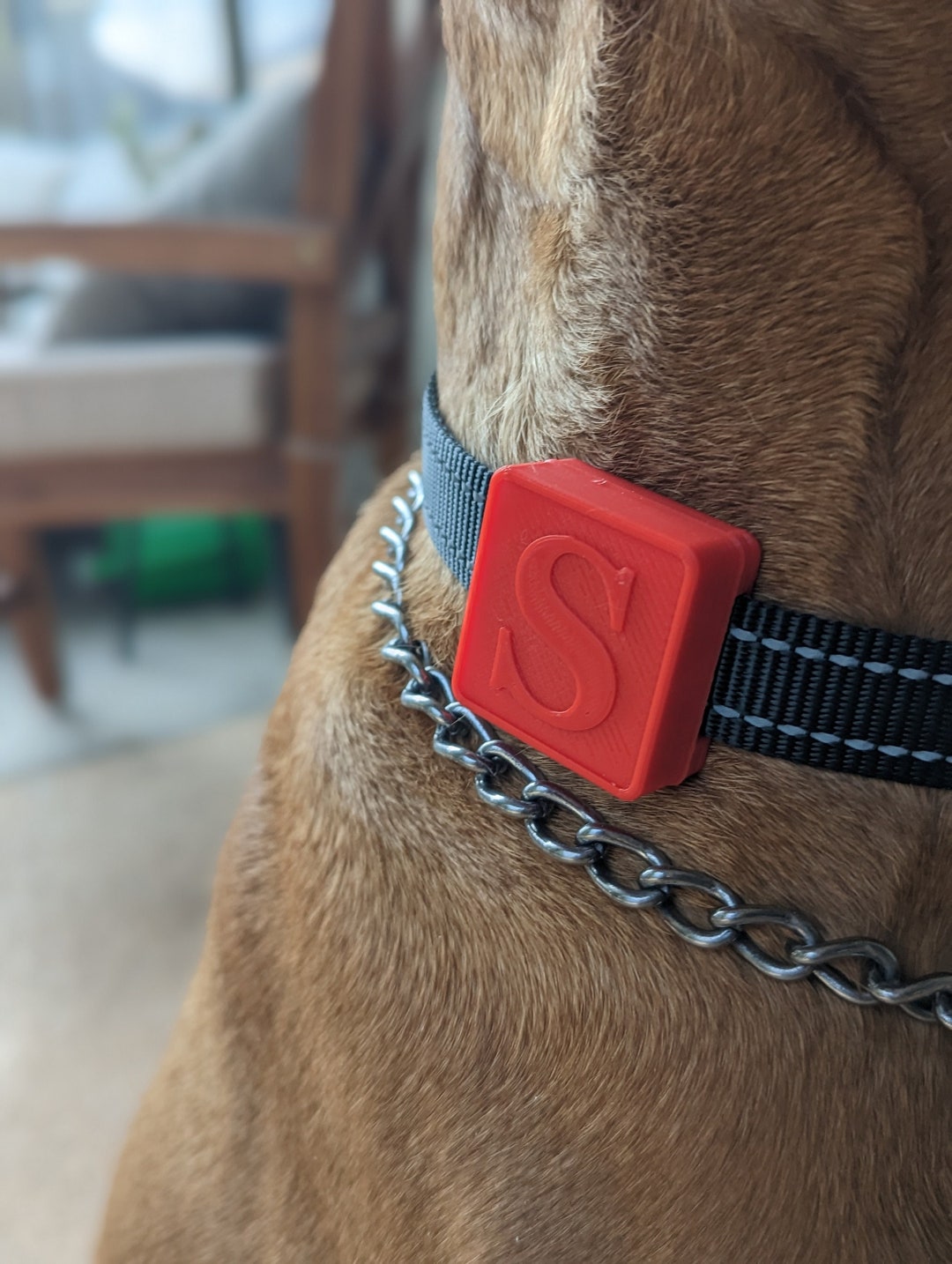 Personalized Tile Sticker Collar Case, Customized Collar Case for Tile ...