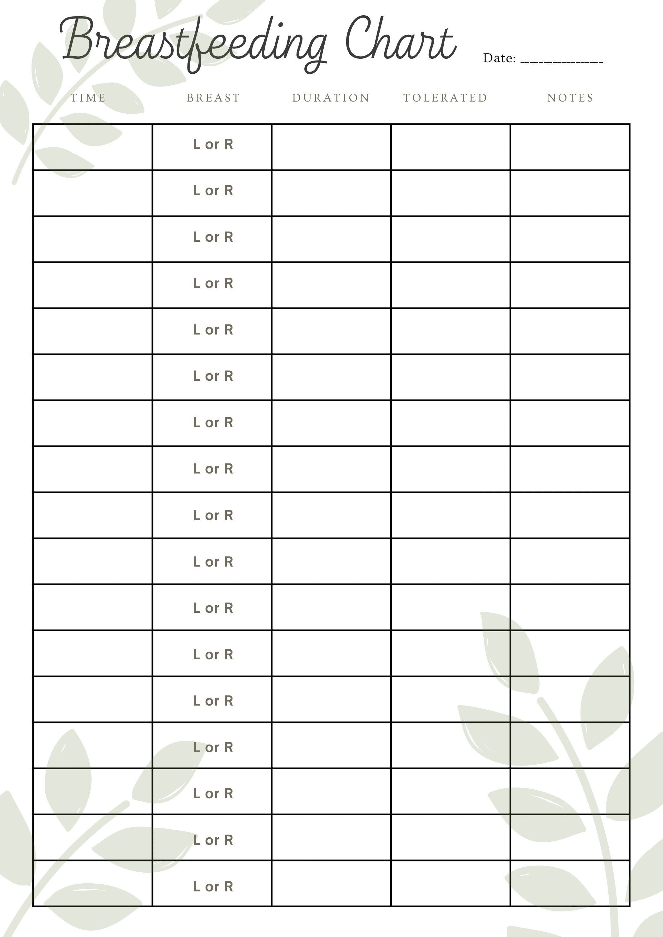 Newborn Breastfeeding Chart Schedule for Moms. Digital Download and ...