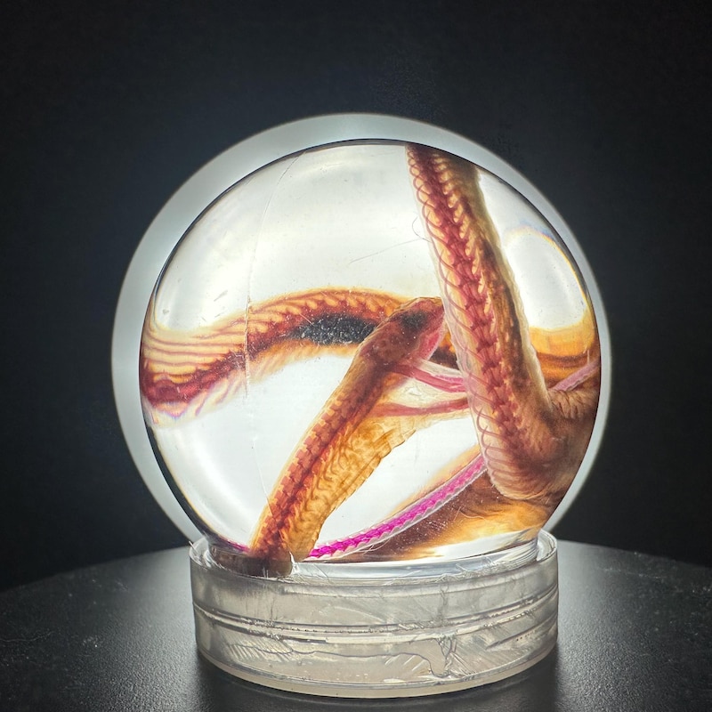 Diaphonization - Etsy