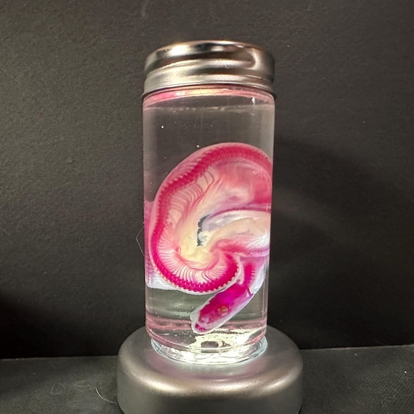 Diaphonization - Etsy