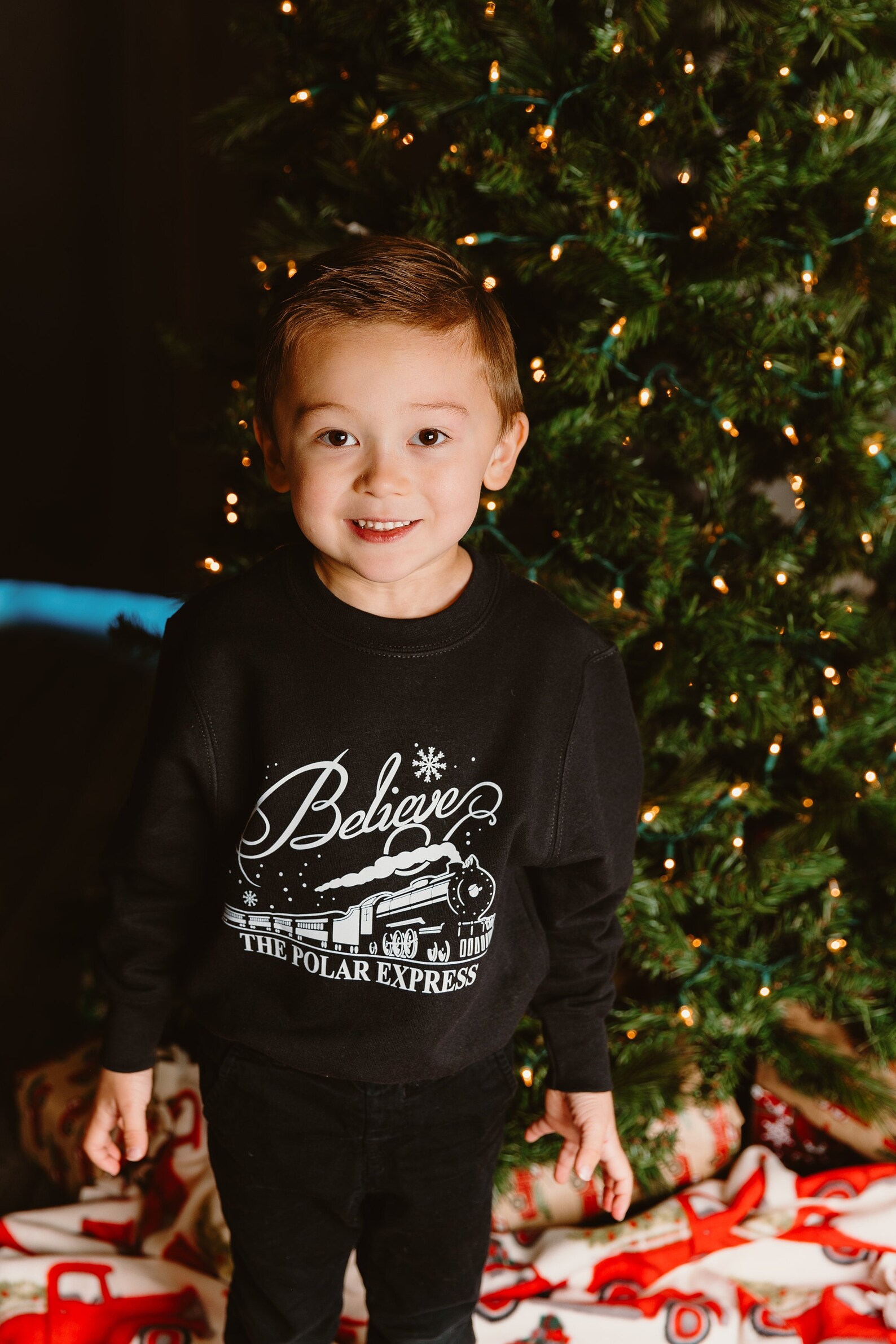 Kid's Polar Express Sweatshirt, Kid's Polar Express Shirt, Family ...