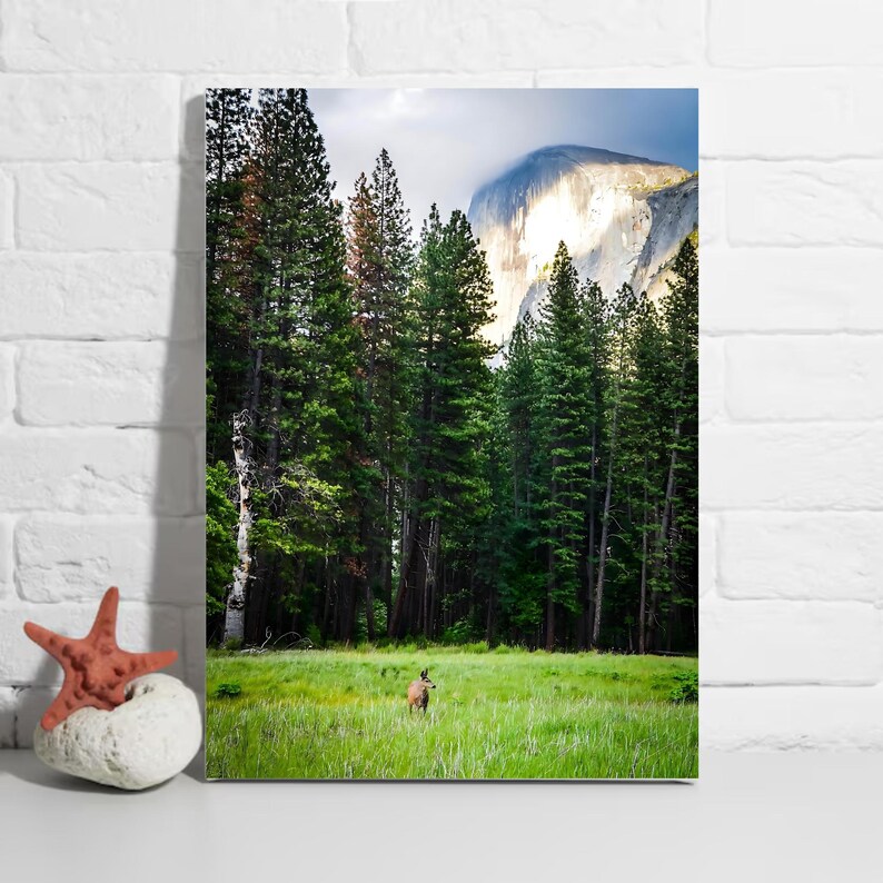 Yosemite First Morning Light - Etsy