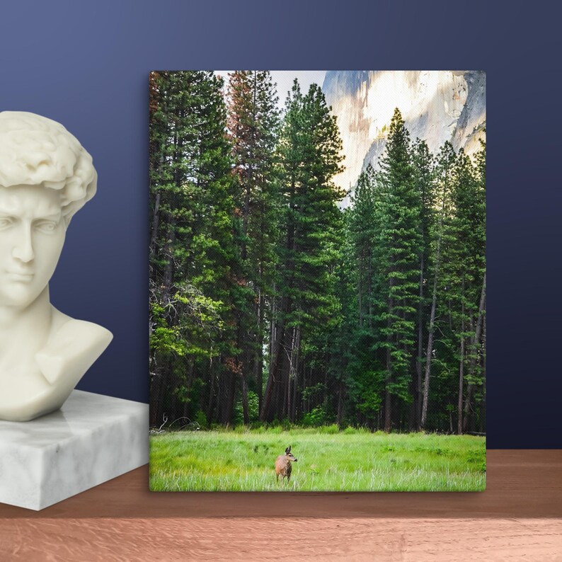 Yosemite First Morning Light - Etsy