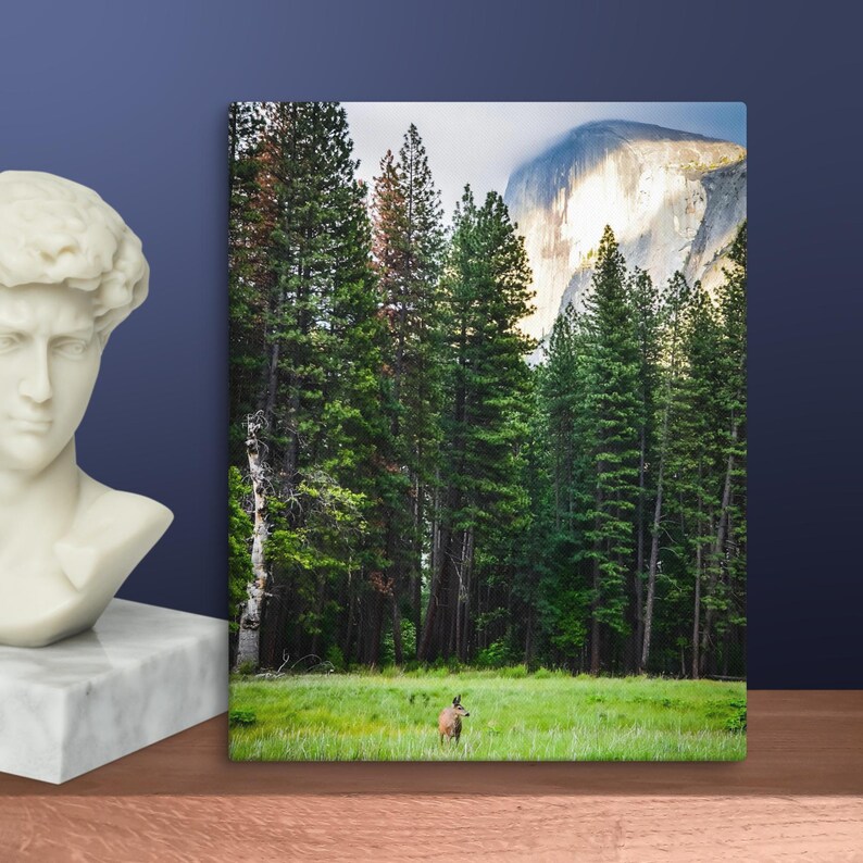 Yosemite First Morning Light - Etsy