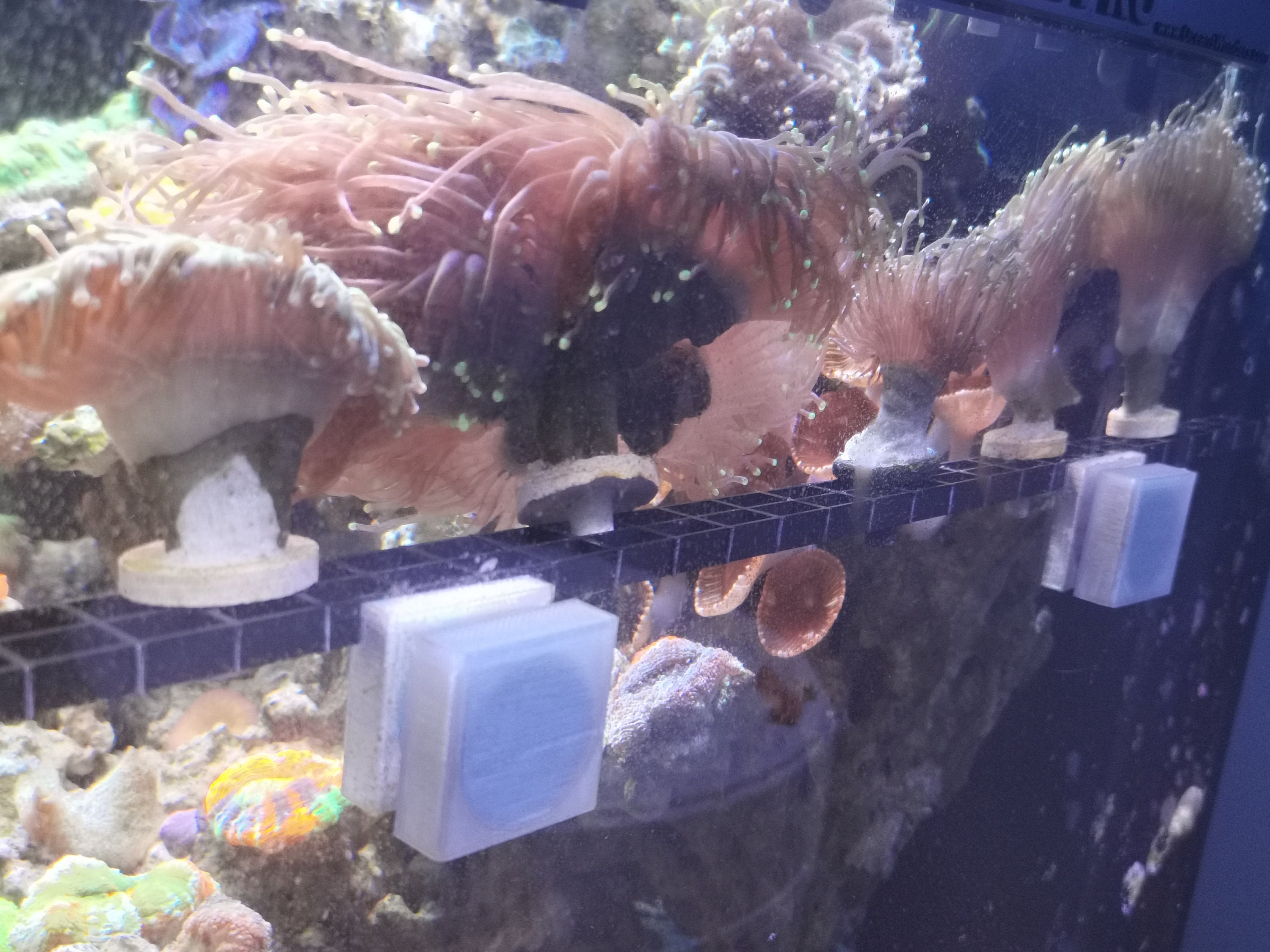 World's First Modular Magnetic Frag Rack for Eggcrates - "tiggergrip ...