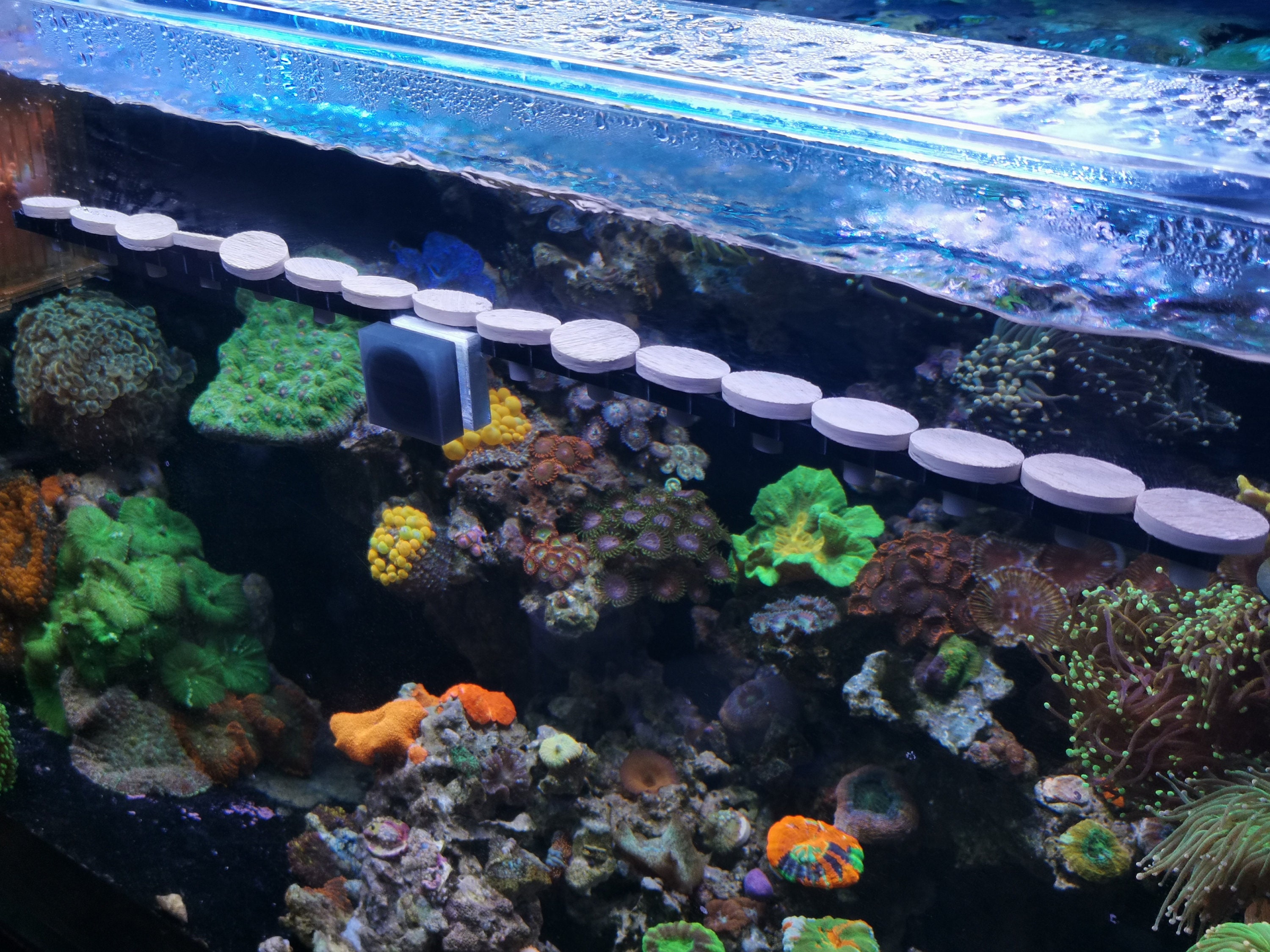 World's First Modular Magnetic Frag Rack for Eggcrates - "tiggergrip ...