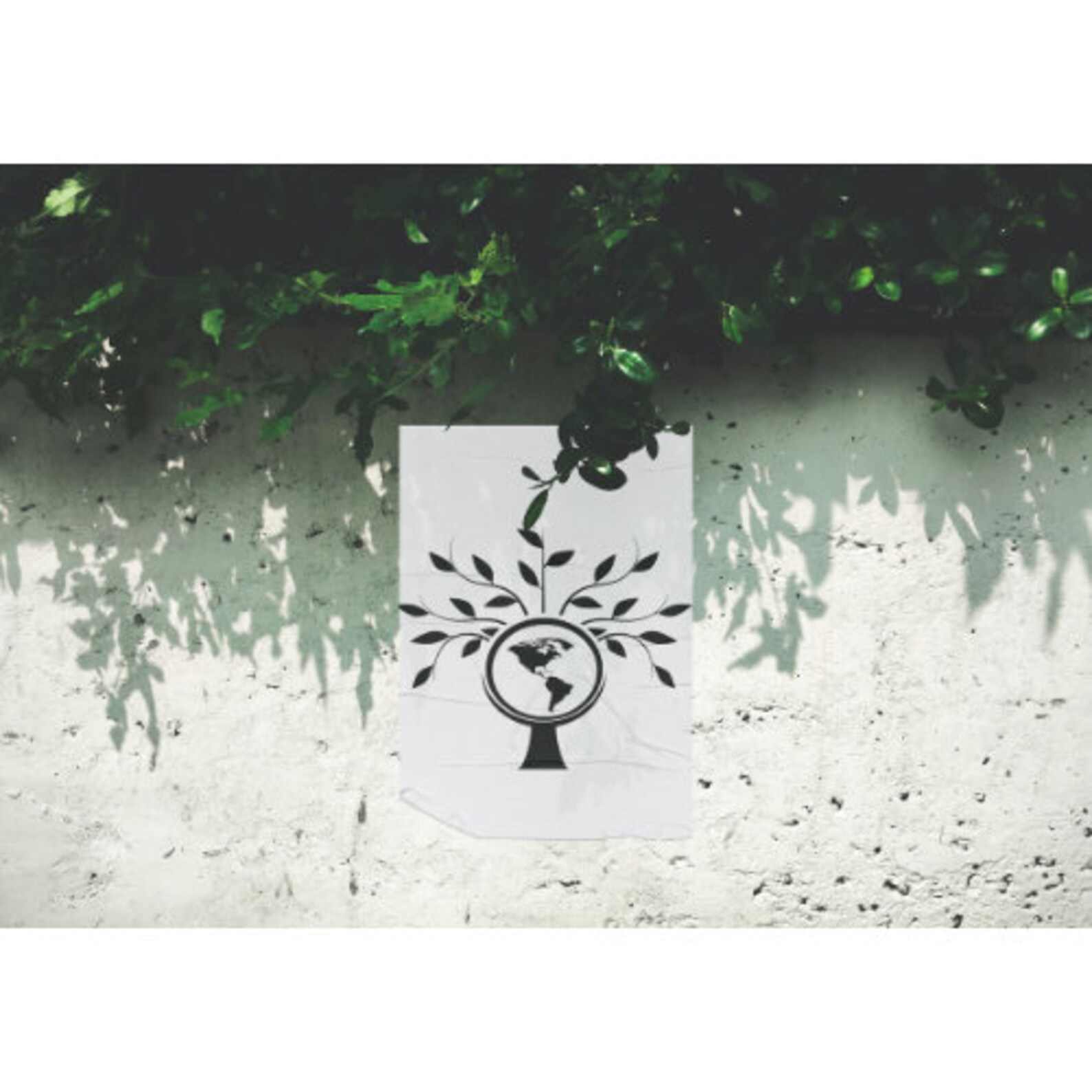 Tree Svg Earth Svg Bark Svg Forest Svg Nature Svg Png Leaves Svg ...